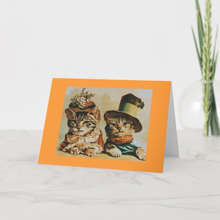 Vintage Cat Couple Anniversary Card | Zazzle