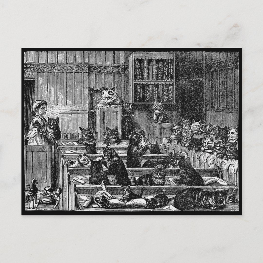 Vintage Cat Courtroom Postcard | Zazzle