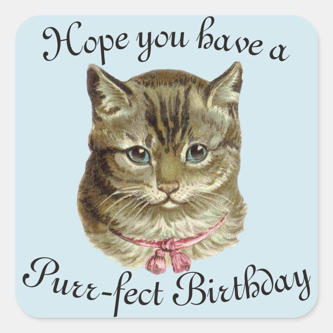 Vintage Cat Happy Birthday Stickers | Zazzle
