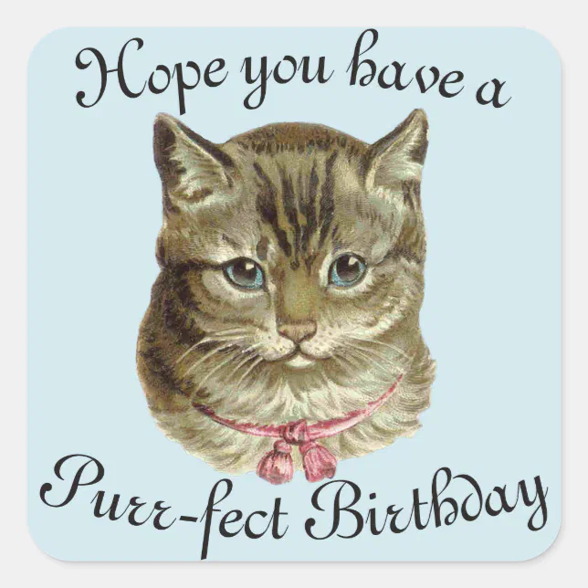 Vintage Cat Happy Birthday Stickers | Zazzle