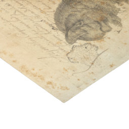 Vintage Cat Tissue Paper | Zazzle