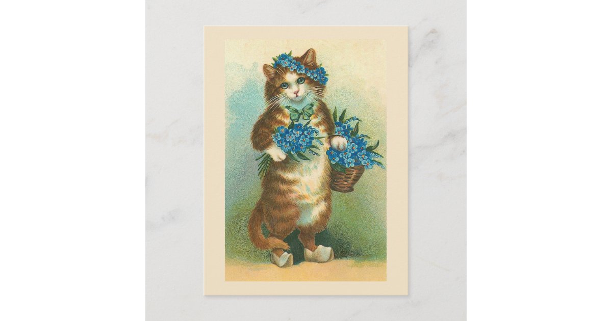 "Vintage Cat with Forget-me-nots" Postcard | Zazzle