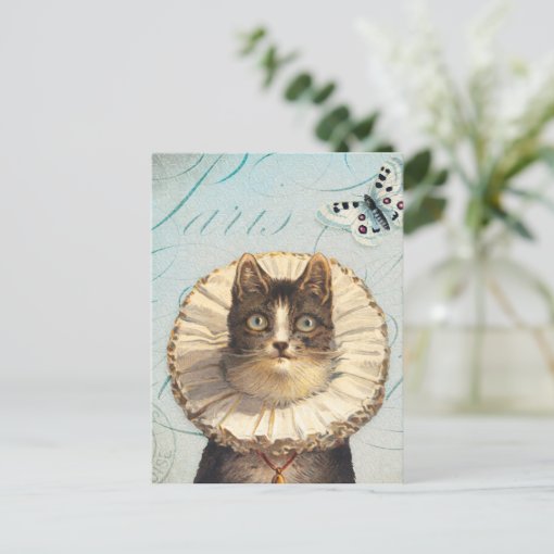 Vintage Cat with Ruff Collar and Butterflies Postcard | Zazzle