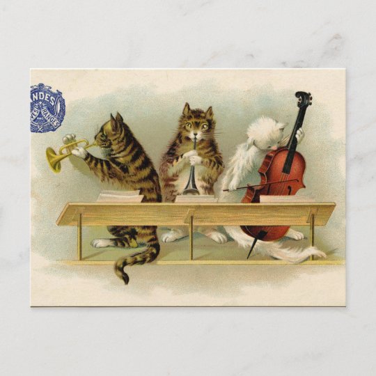 Vintage Cats Postcard | Zazzle.com