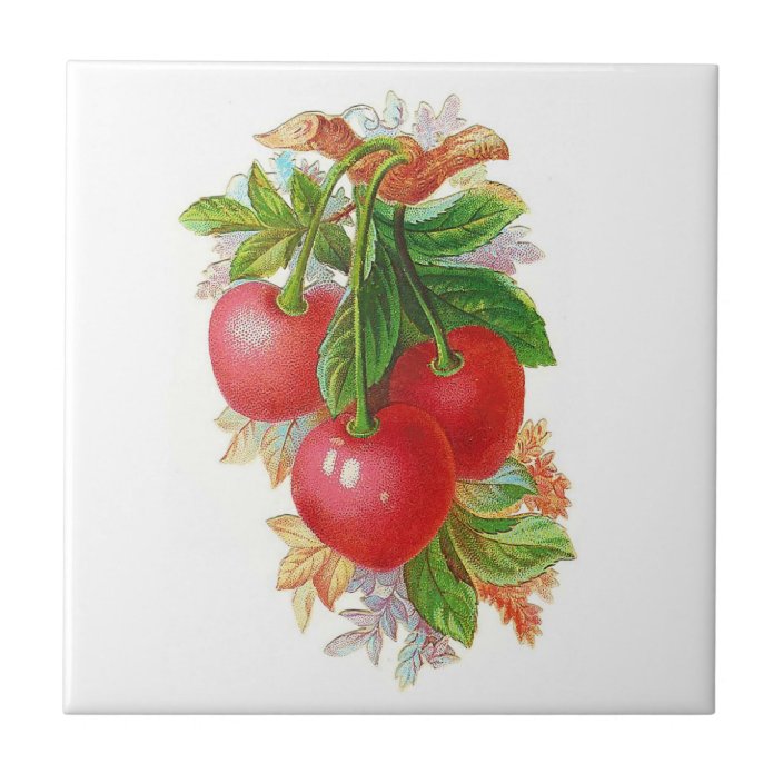 Vintage Cherries Ceramic Tile | Zazzle.com