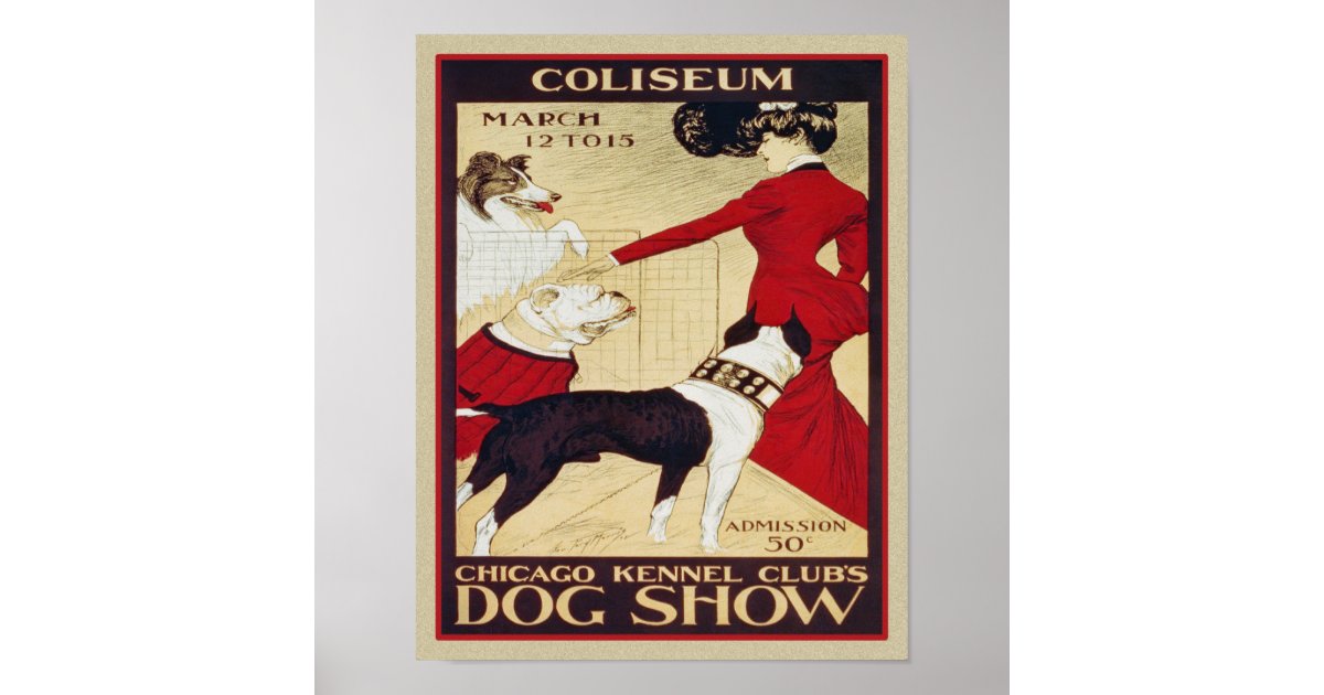 Vintage Chicago Dog Show Ad Poster | Zazzle