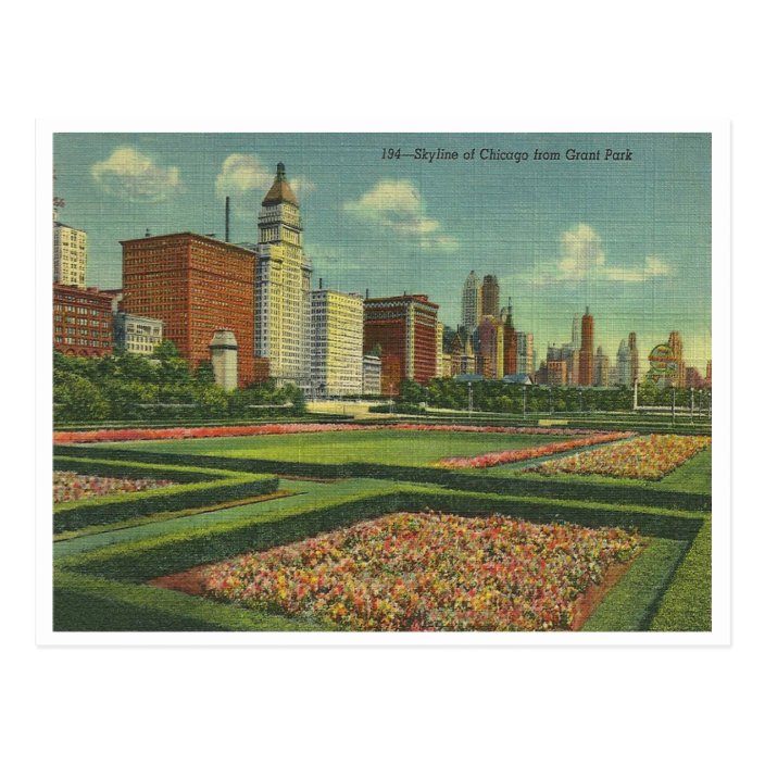 Vintage Chicago Skyline Postcard | Zazzle.com