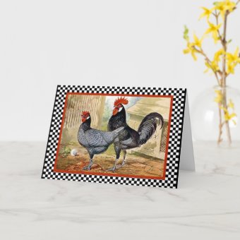 Vintage Chicken Rooster Card | Zazzle
