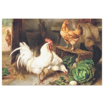 Vintage Chickens & Roosters Tissue Paper | Zazzle