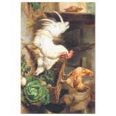 Vintage Chickens & Roosters Tissue Paper | Zazzle