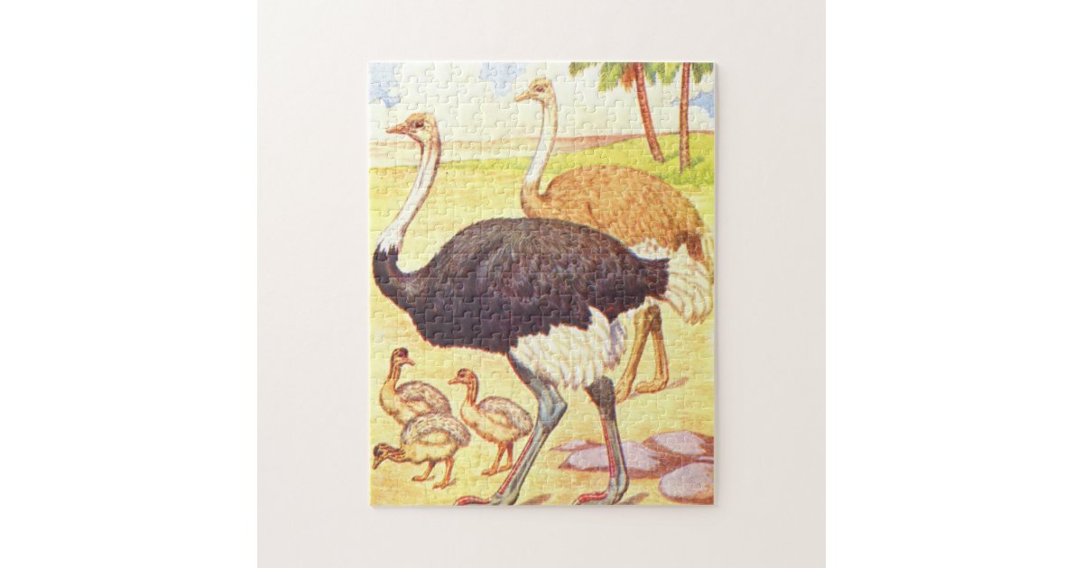 Vintage Childrens Book Illustration Ostrich Jigsaw Puzzle | Zazzle
