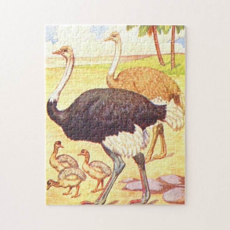 Vintage Childrens Book Illustration Ostrich Jigsaw Puzzle | Zazzle