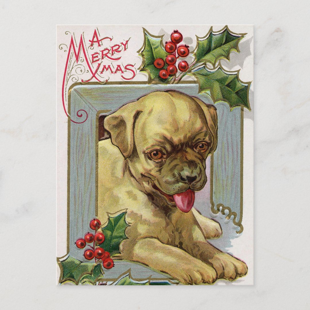 Vintage Christmas Holiday Holly dog postcard | Zazzle