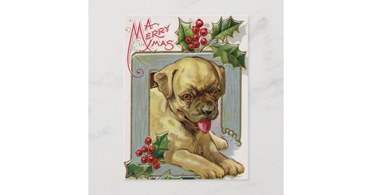 Vintage Christmas Holiday Holly dog postcard | Zazzle