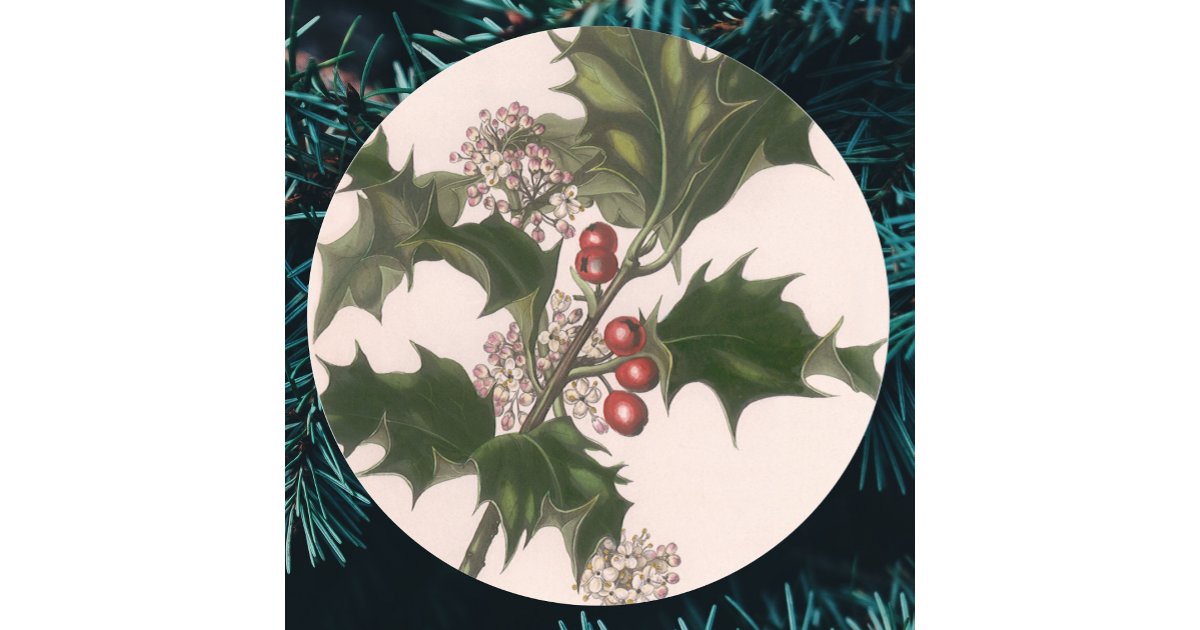 Vintage Christmas, Holly Plant with Red Berries Classic Round Sticker ...