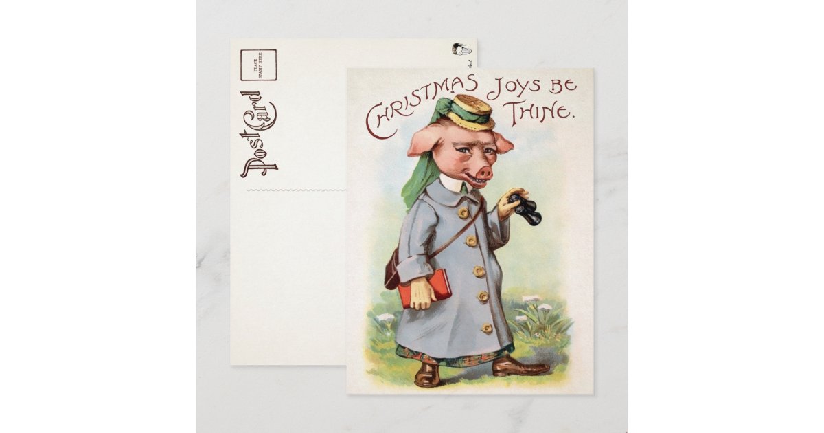 Vintage Christmas Pig Postcard | Zazzle