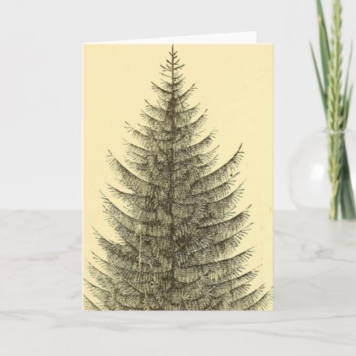 Vintage Christmas Tree Card | Zazzle