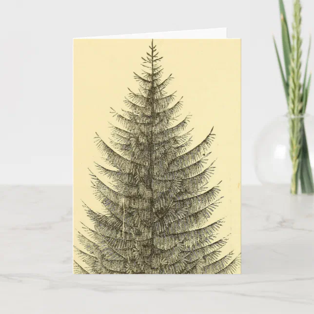 Vintage Christmas Tree Card | Zazzle