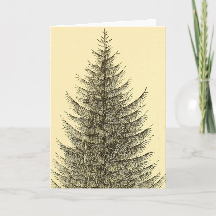 Vintage Christmas Tree Card | Zazzle