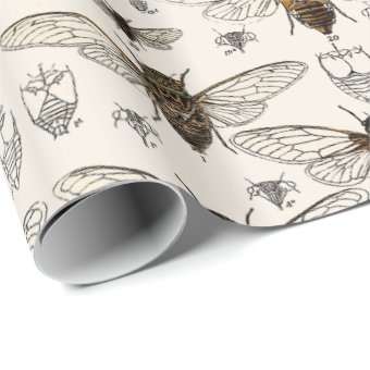 Vintage Cicadas Illustration Wrapping Paper | Zazzle