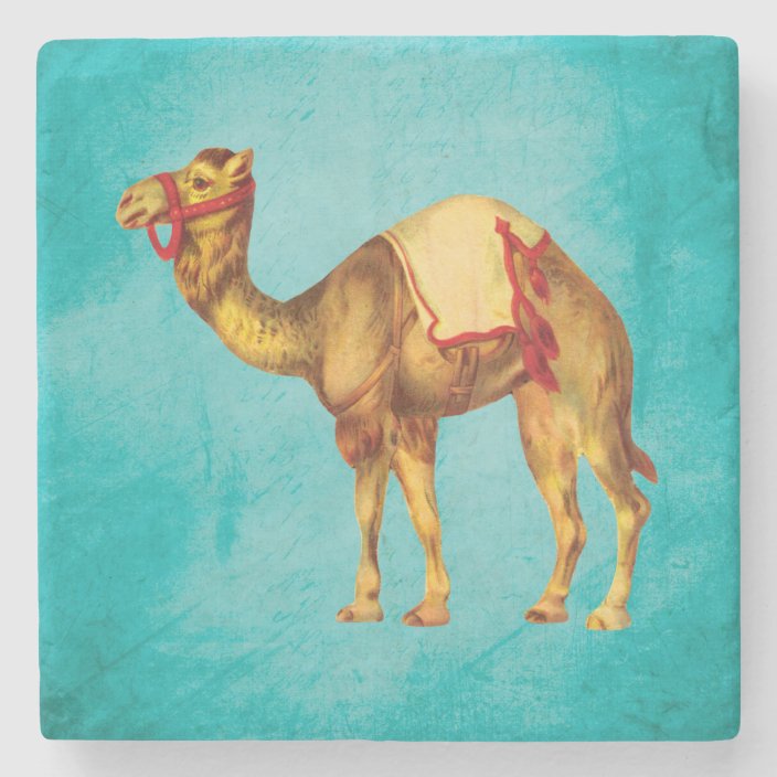 Vintage Circus Camel on Aqua Stone Coaster | Zazzle.com