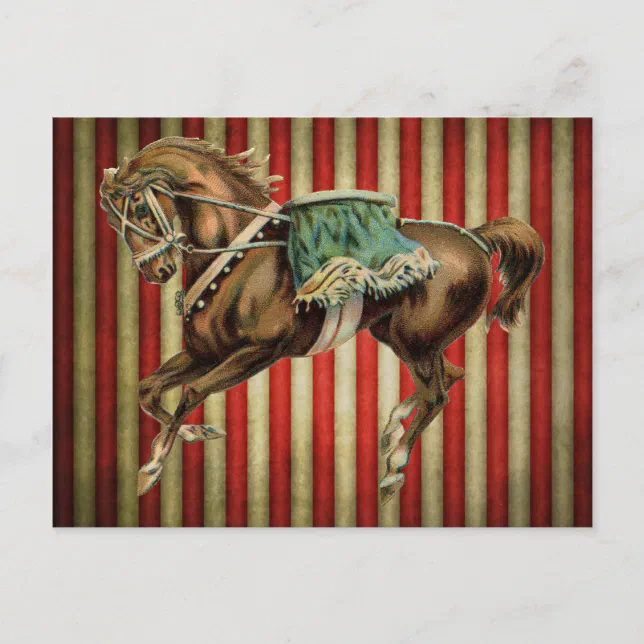 vintage circus horse postcard | Zazzle