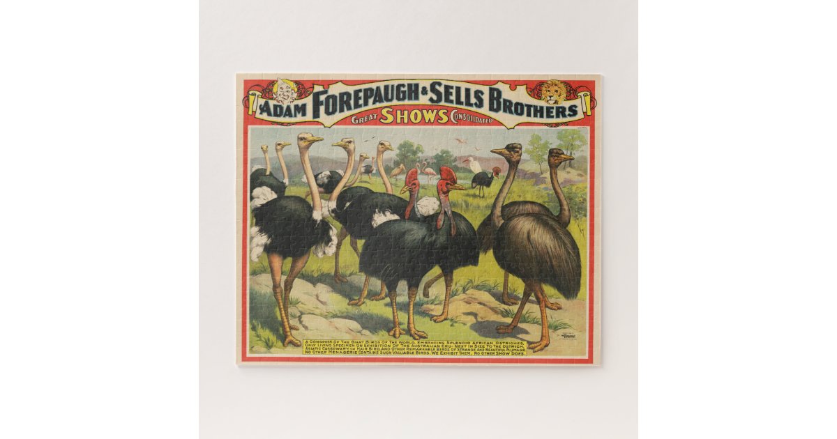 Vintage Circus Showing Ostriches And Large Birds. Jigsaw Puzzle | Zazzle