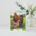 Vintage Cochin Chickens Postcard | Zazzle