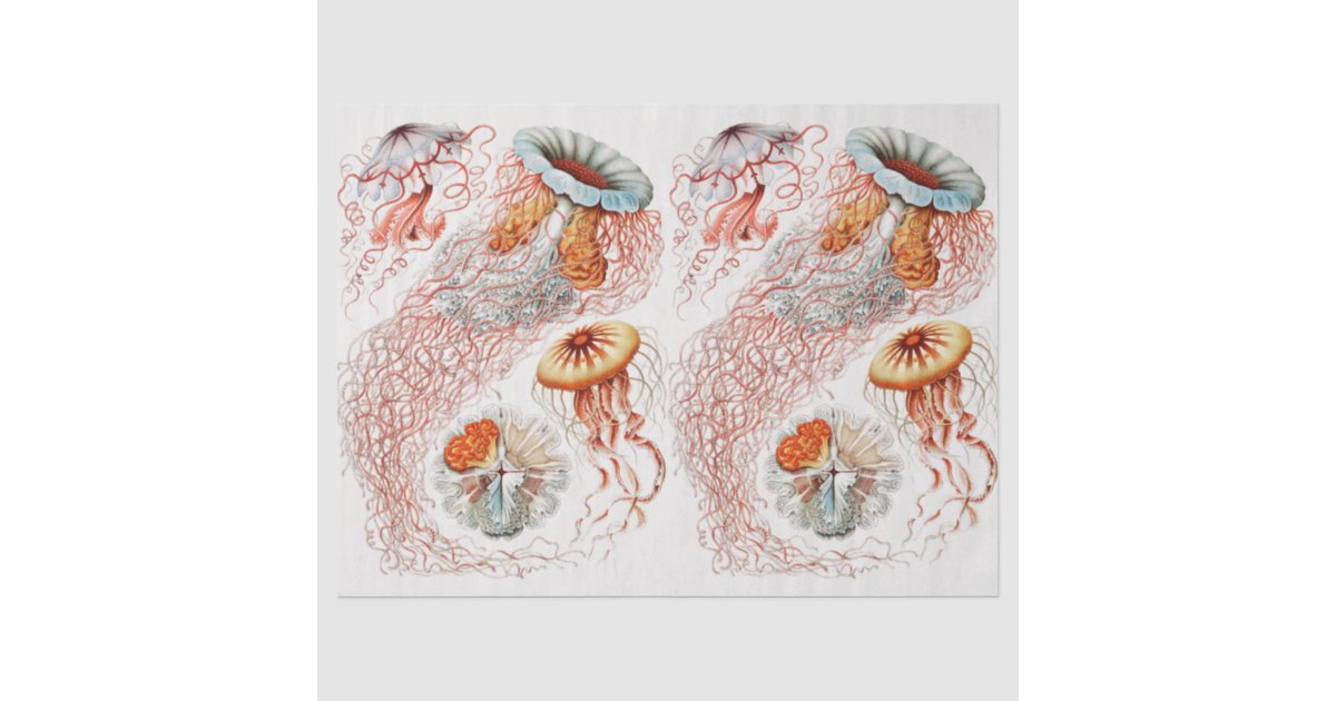 Vintage Collage Jellyfish Pattern Decoupage Tissue Paper | Zazzle
