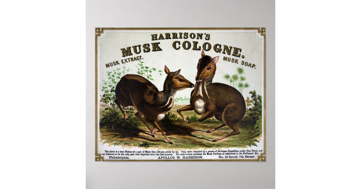 Vintage Cologne Advertising Poster | Zazzle