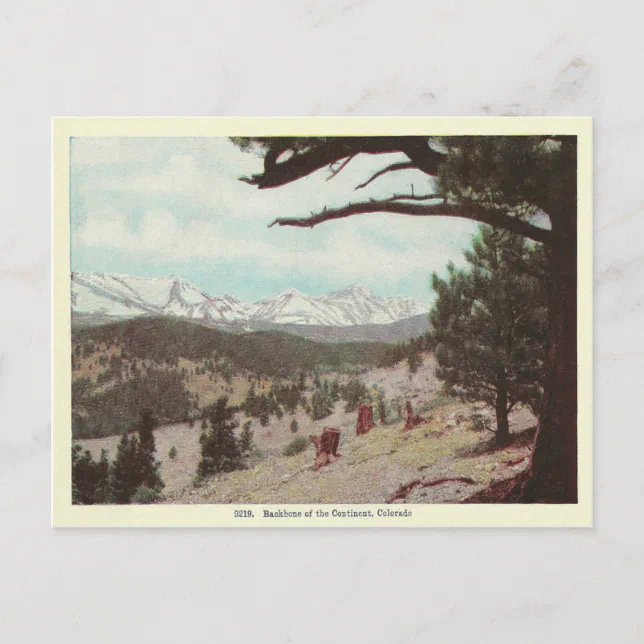 Vintage Colorado Postcard | Zazzle