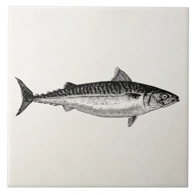 Vintage Common Mackerel Fish - Aquatic Template Tile | Zazzle