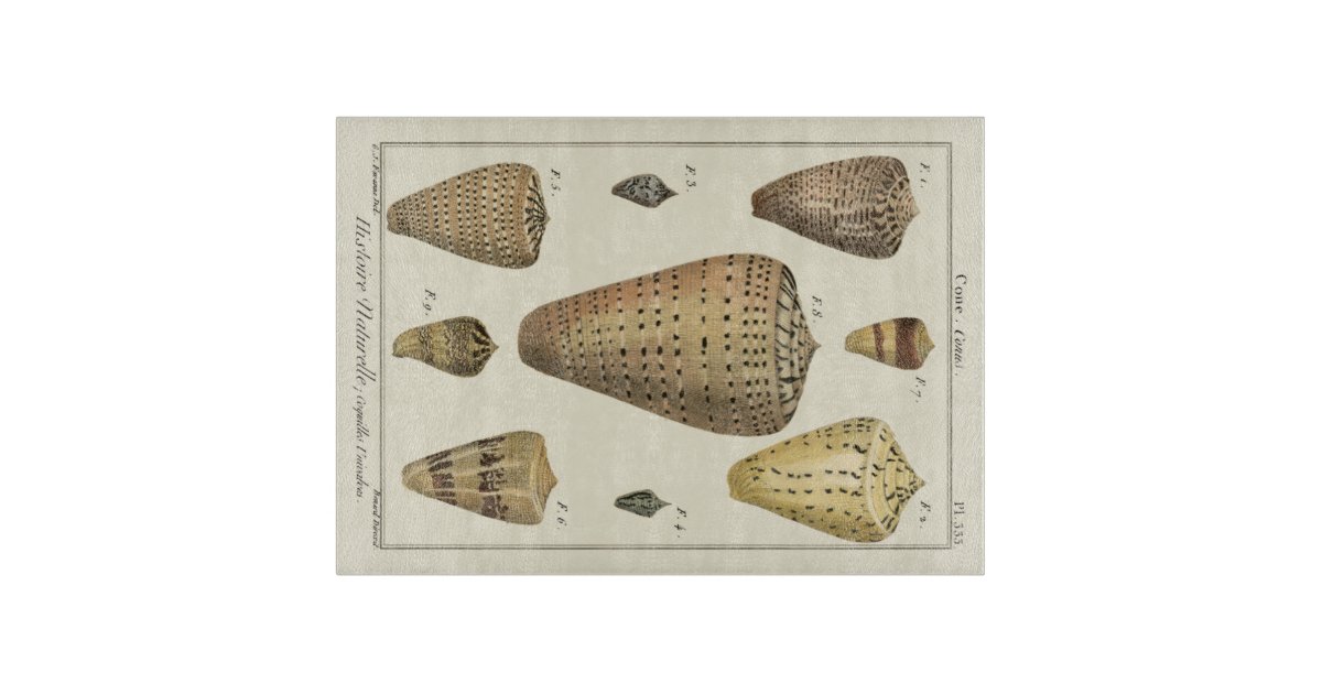 Vintage Cone Shells Cutting Board | Zazzle