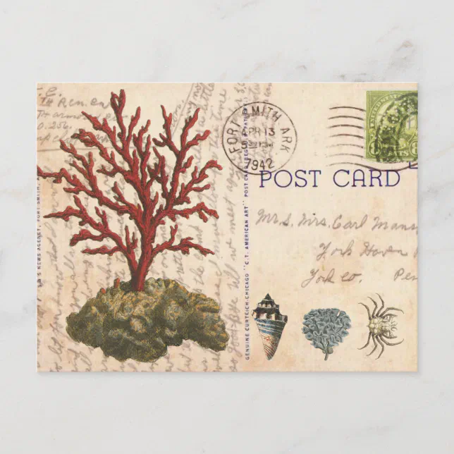 Vintage Coral and seashells postcard | Zazzle