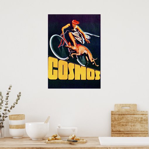 Vintage Cosmos Bicycle Poster | Zazzle