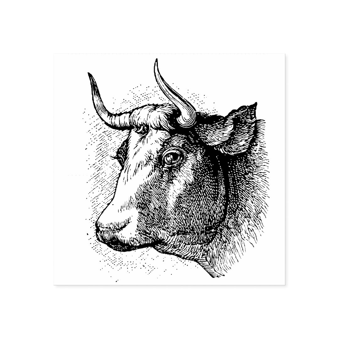 Vintage Cow Head Rubber Stamp | Zazzle