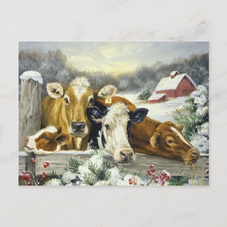 Vintage Cow Image Postcard | Zazzle