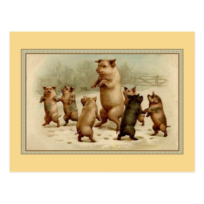 Vintage dancing pigs postcard | Zazzle.com