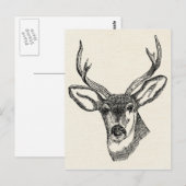 Vintage Deer Postcard | Zazzle