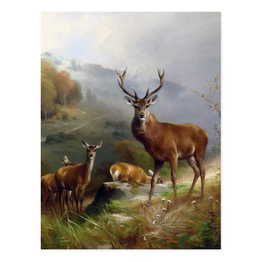 Vintage Deer Stag - Animals Old Illustration Art Postcard | Zazzle.com