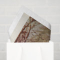 Vintage Deer Stag Elk Ephemera Decoupage Tissue Paper | Zazzle