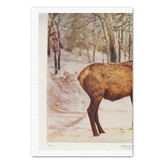 Vintage Deer Stag Elk Ephemera Decoupage Tissue Paper | Zazzle