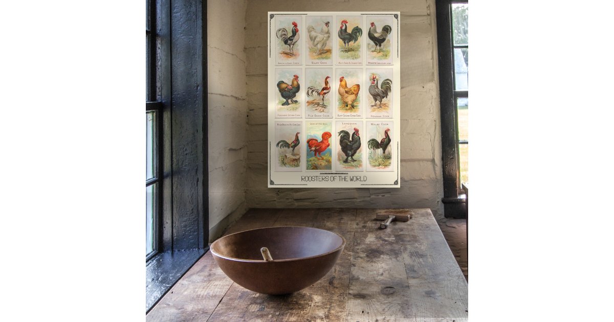 Vintage Design International Roosters Kitchen Poster | Zazzle