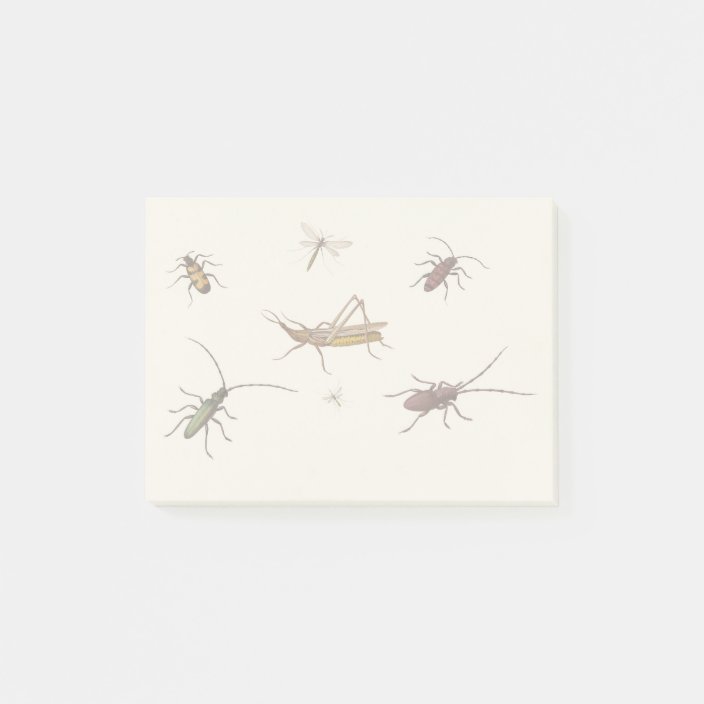 Vintage design with seven different insects post-it notes | Zazzle.com