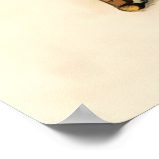 Vintage Devil Art Poster | Zazzle