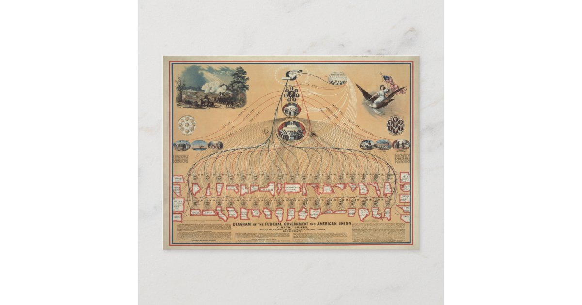Vintage Diagram of the Federal Government Postcard | Zazzle