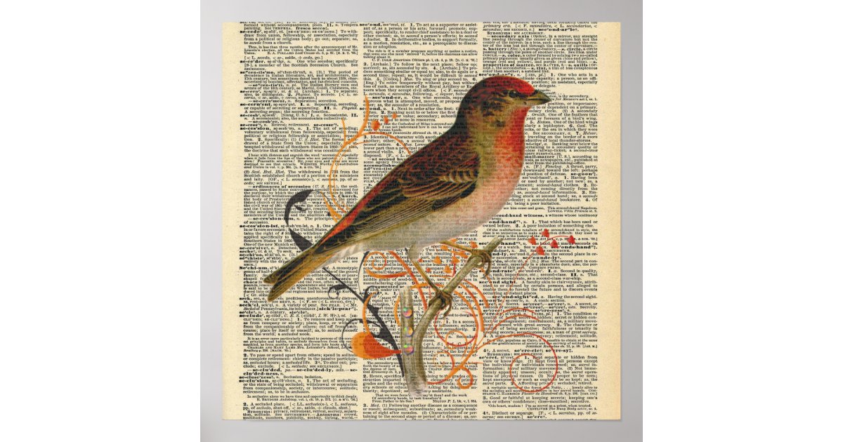 Vintage Dictionary Bird Poster | Zazzle
