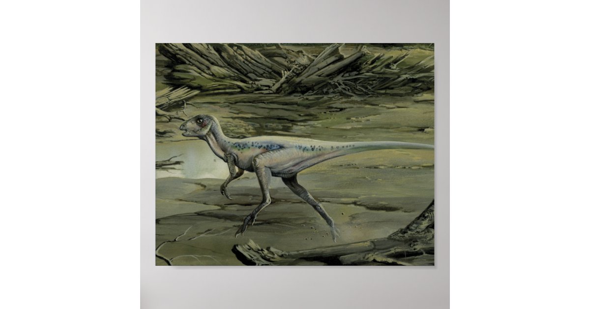Vintage Dinosaurs, a Cretaceous Hypsilophodon Poster | Zazzle
