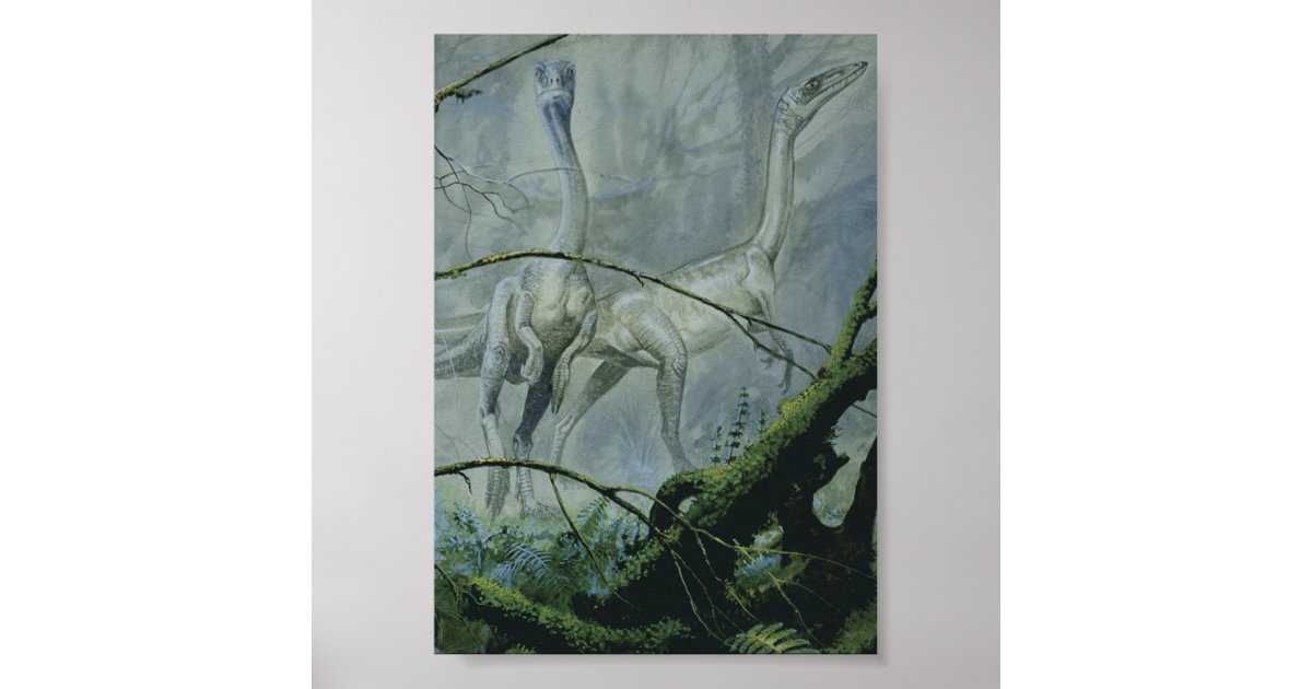 Vintage Dinosaurs, Megapnosaurus aka Syntarsus Poster | Zazzle