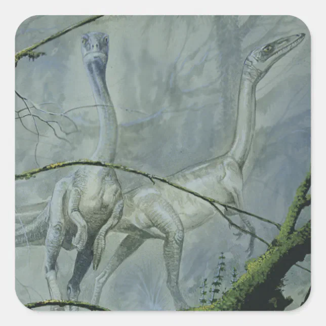 Vintage Dinosaurs, Megapnosaurus aka Syntarsus Square Sticker | Zazzle
